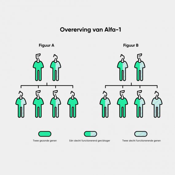 Oorzaken, erfelijkheid en symptomen | Informatie over Alfa-1